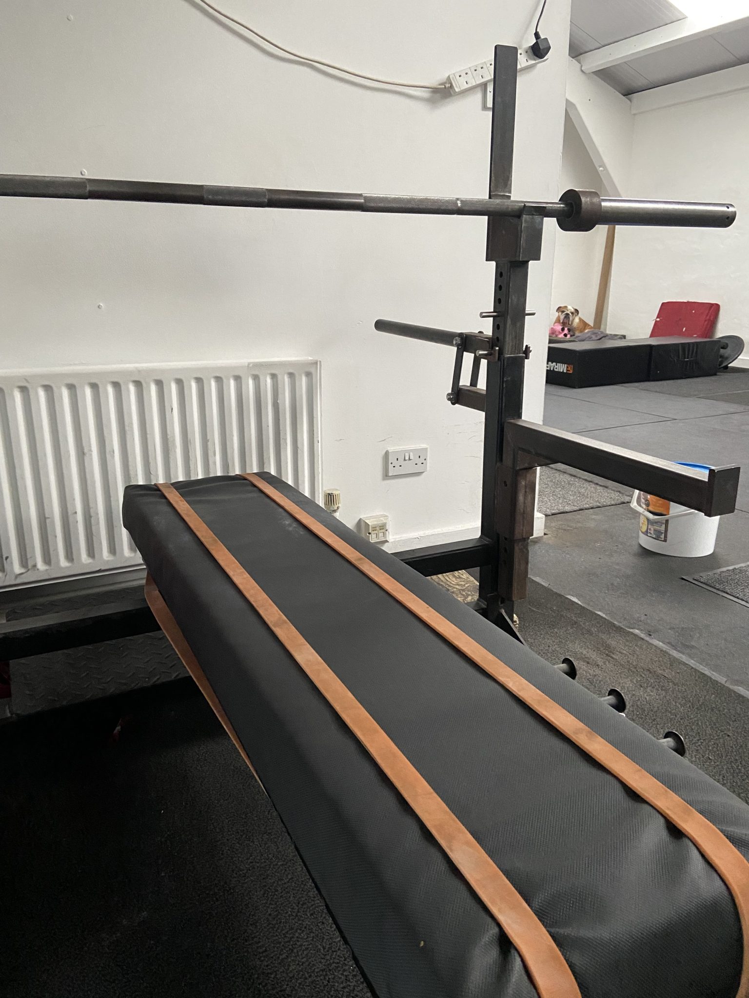 Gaining Traction On The Bench Press - Iron Forge Gym